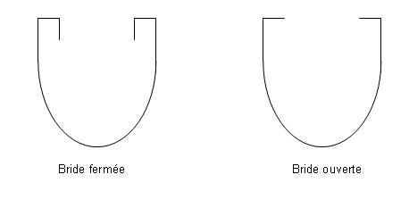 Veilleconstruction.be - Quelle bride pour votre wc